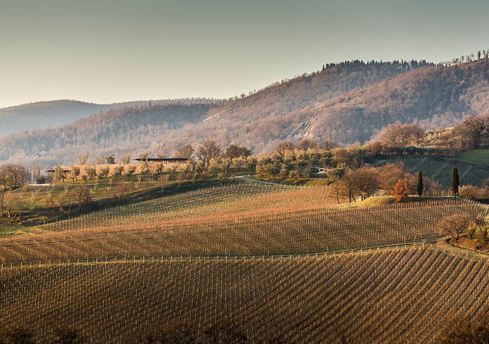 森/CASA ︱ 案例分享：PODERNUOVO SRL SOCIETÀ AGRICOLA